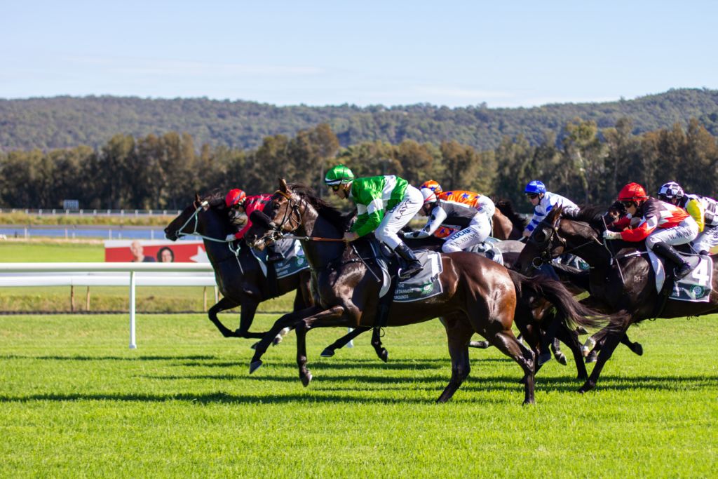 ANZAC Day Raceday 2019 | The Entertainment Grounds