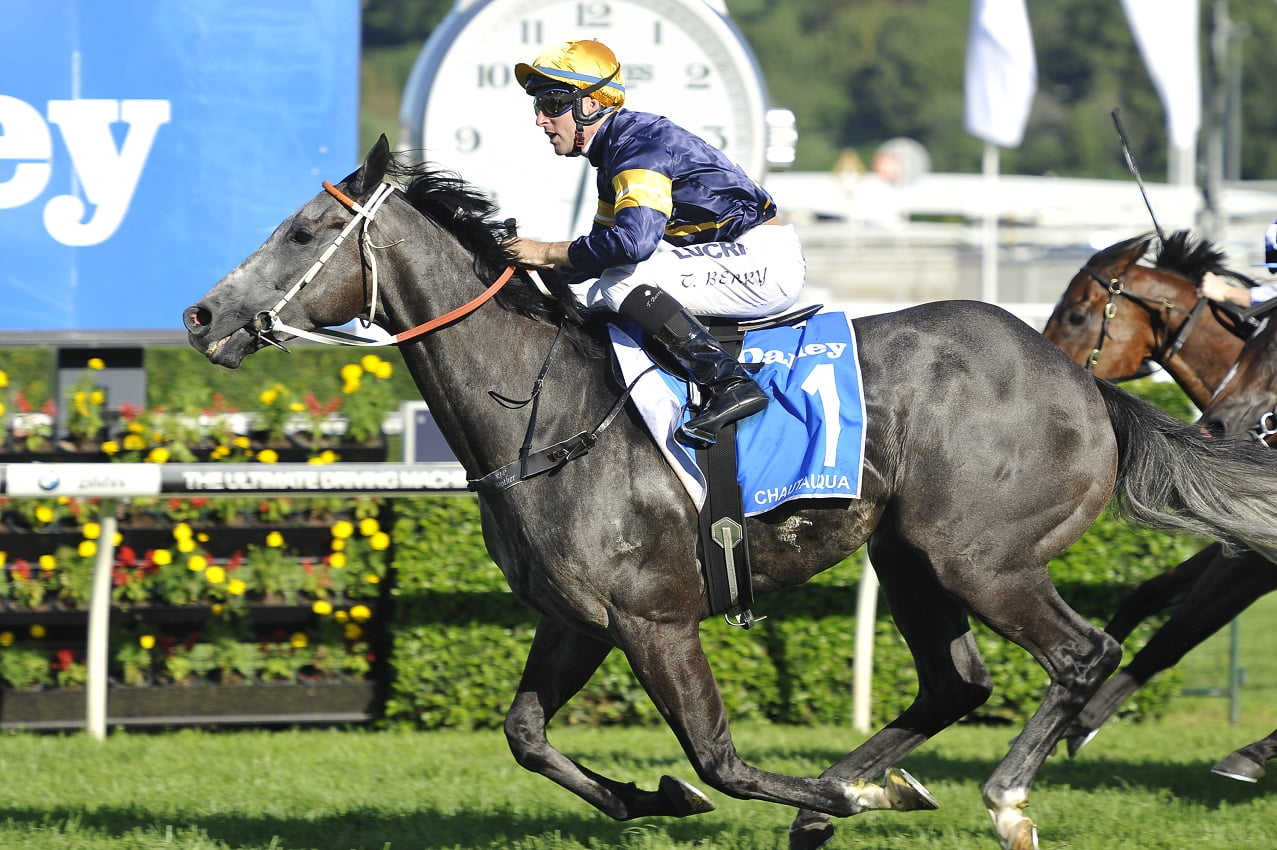 SUMMER TWILIGHT RACING AT GOSFORD (FRIDAY) | The Entertainment Grounds