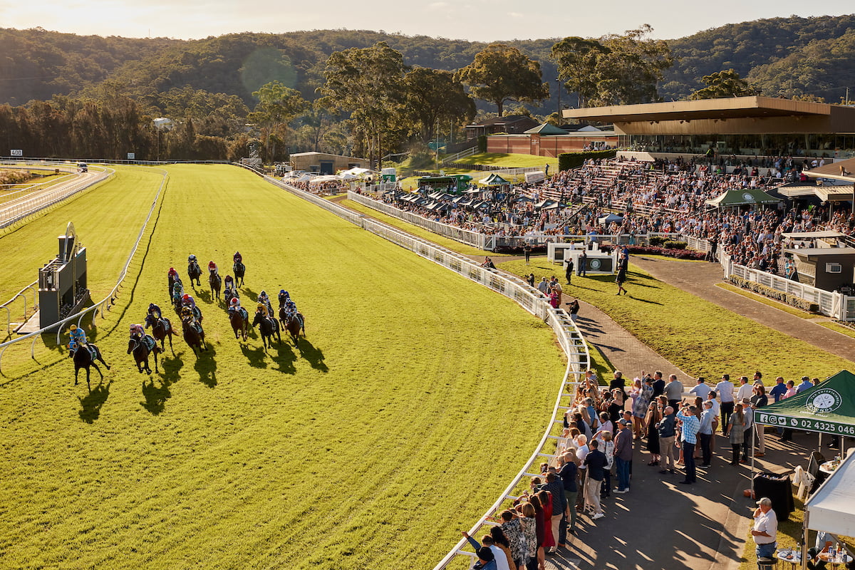 THE COAST RACE DAY HELD IN FINE FORM