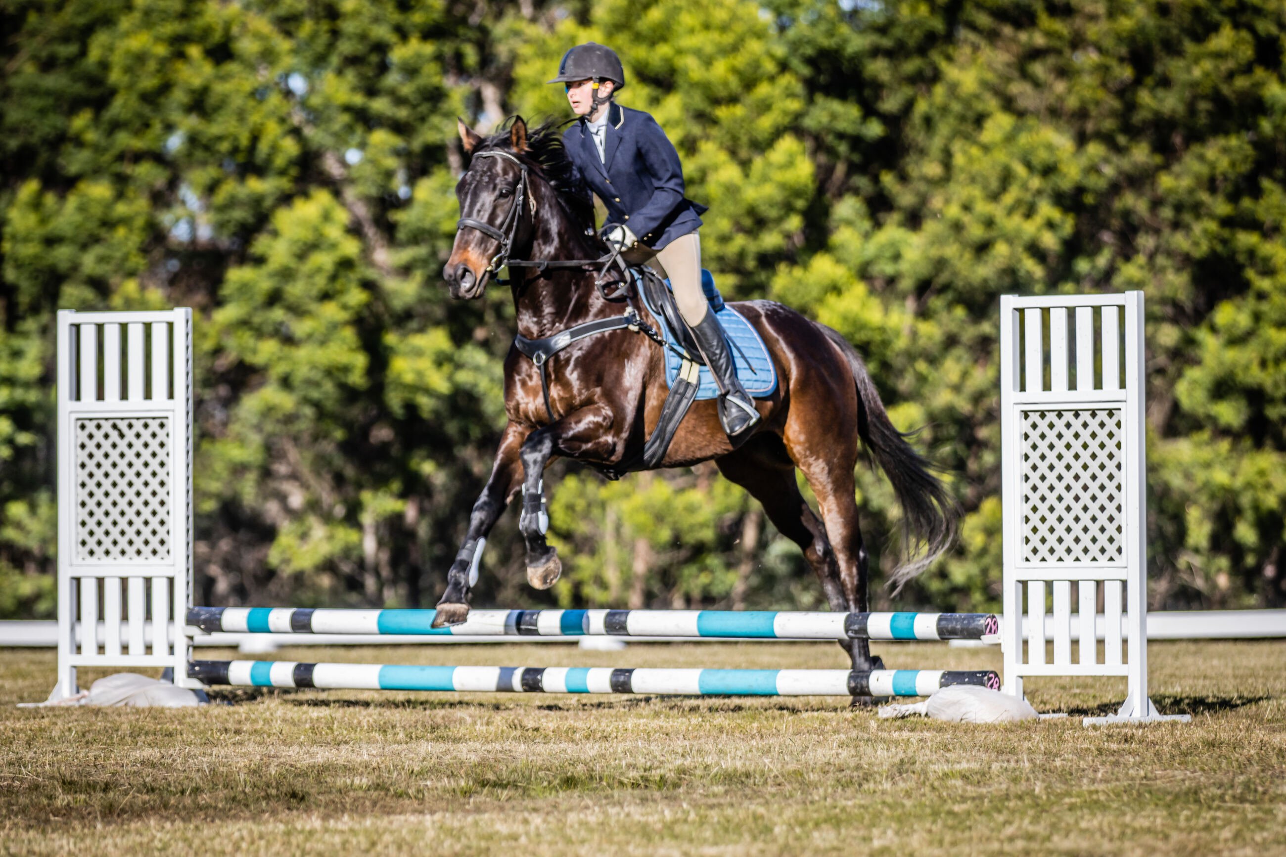 GOSFORD TO SPONSOR 2 RIDERS IN THE INAUGURAL EQUIMILLION EQUESTRIAN ...